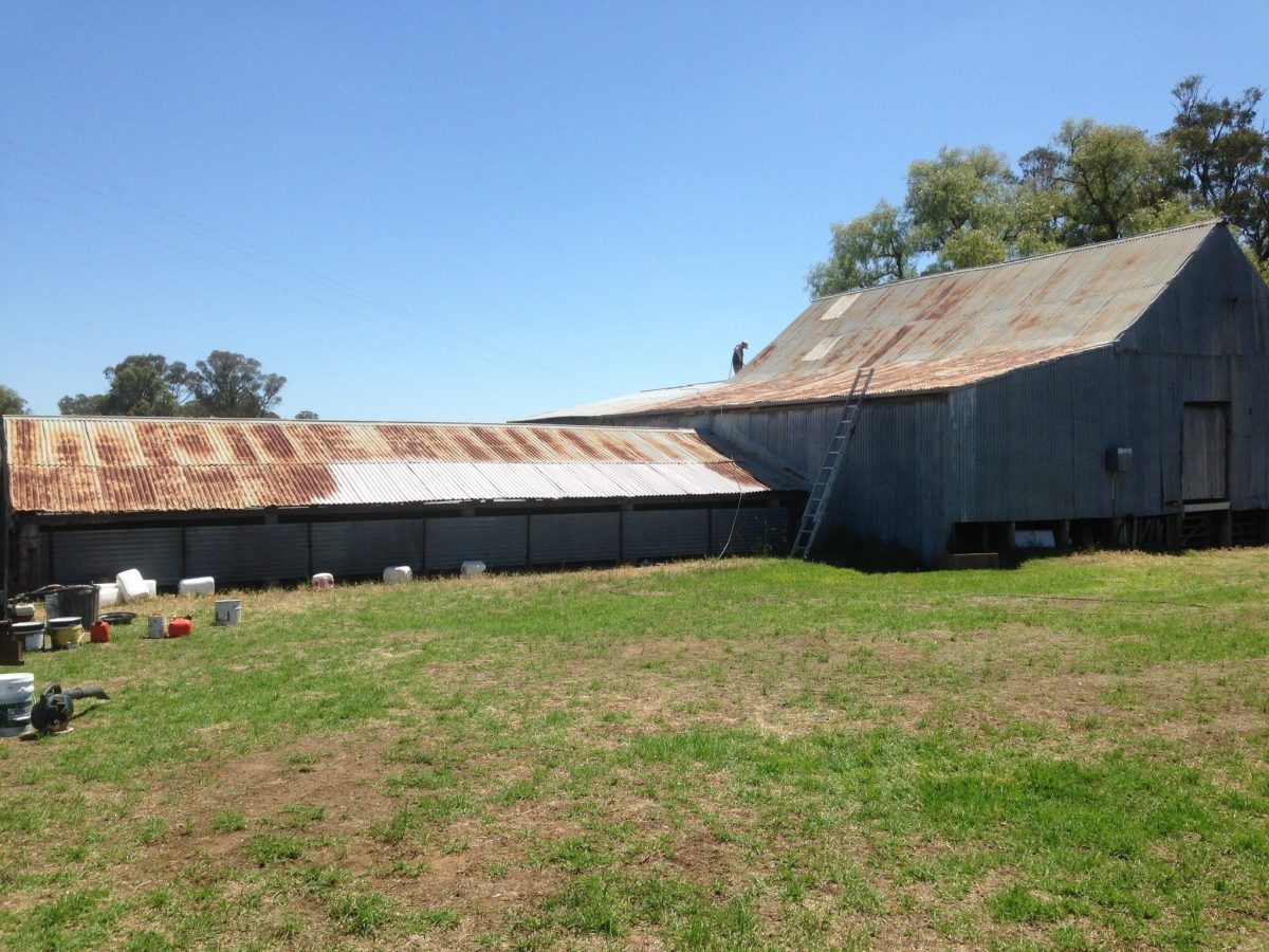 Rural Roof - Amazing Roof Restoration