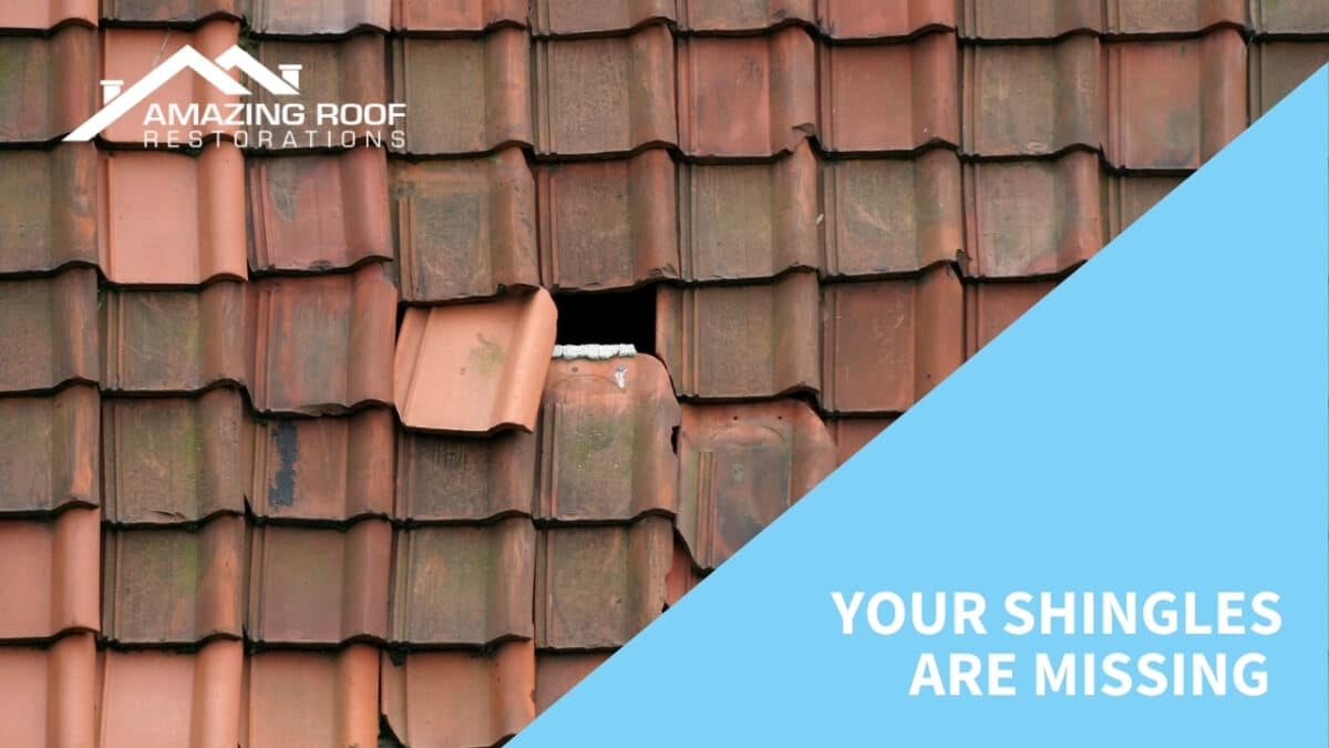 5 Signs your Roof Requires Some TLC | Amazing Roof Restoration